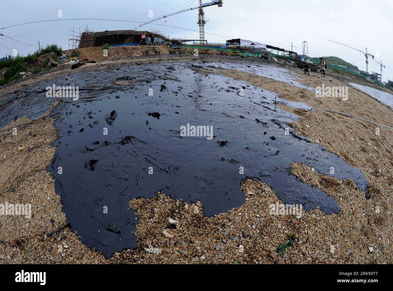 Oil polluted beaches hi-res stock photography and images - Alamy
