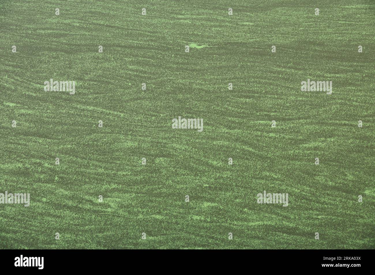 Algae pattern hi-res stock photography and images - Alamy