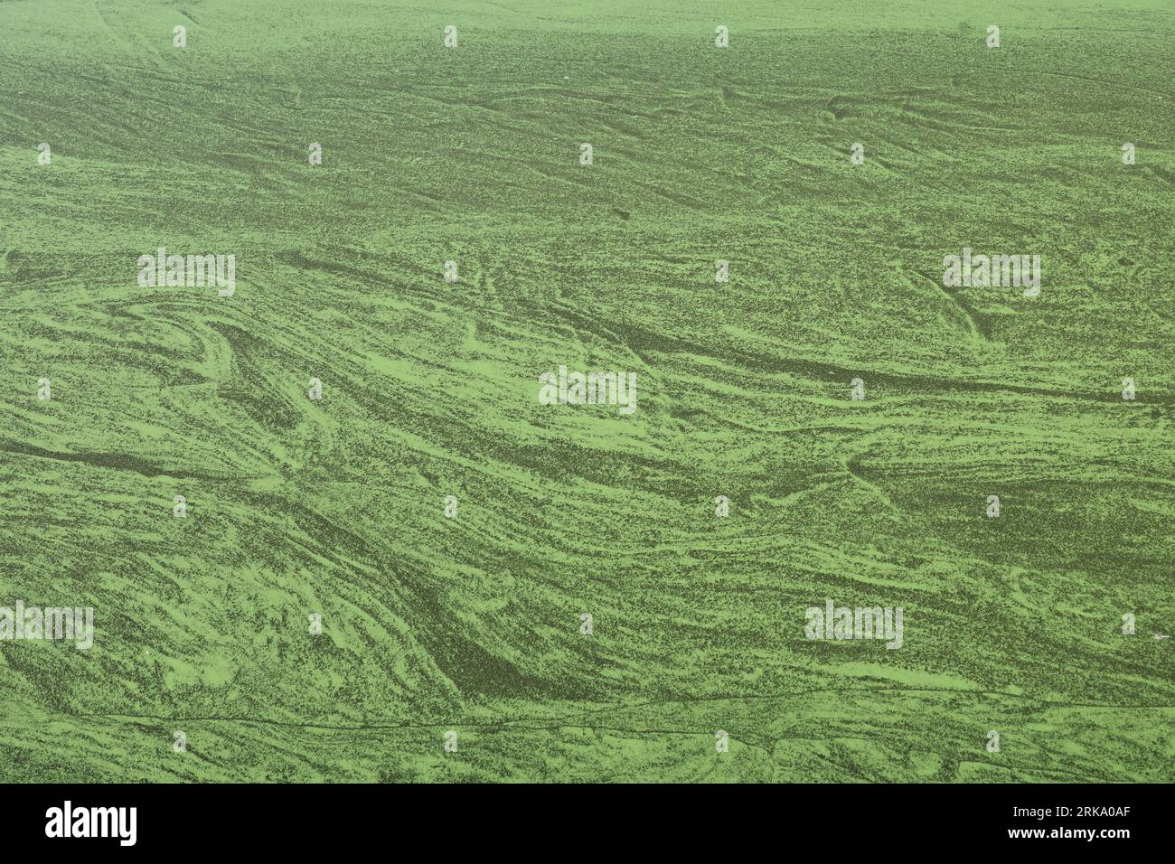 green background with algae pattern Stock Photo - Alamy