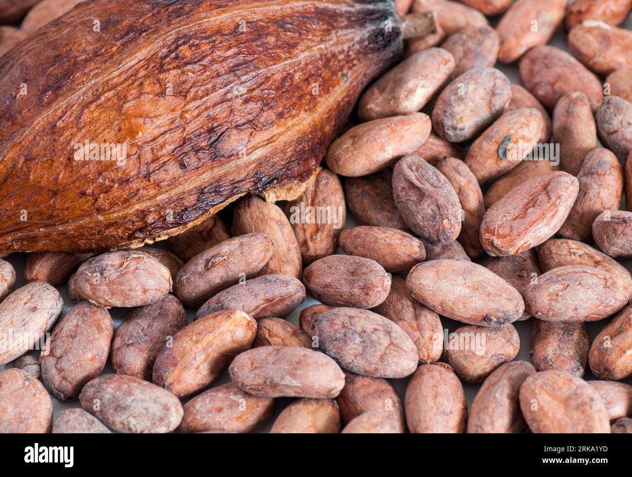 Roasted cocoa beans hi-res stock photography and images - Alamy