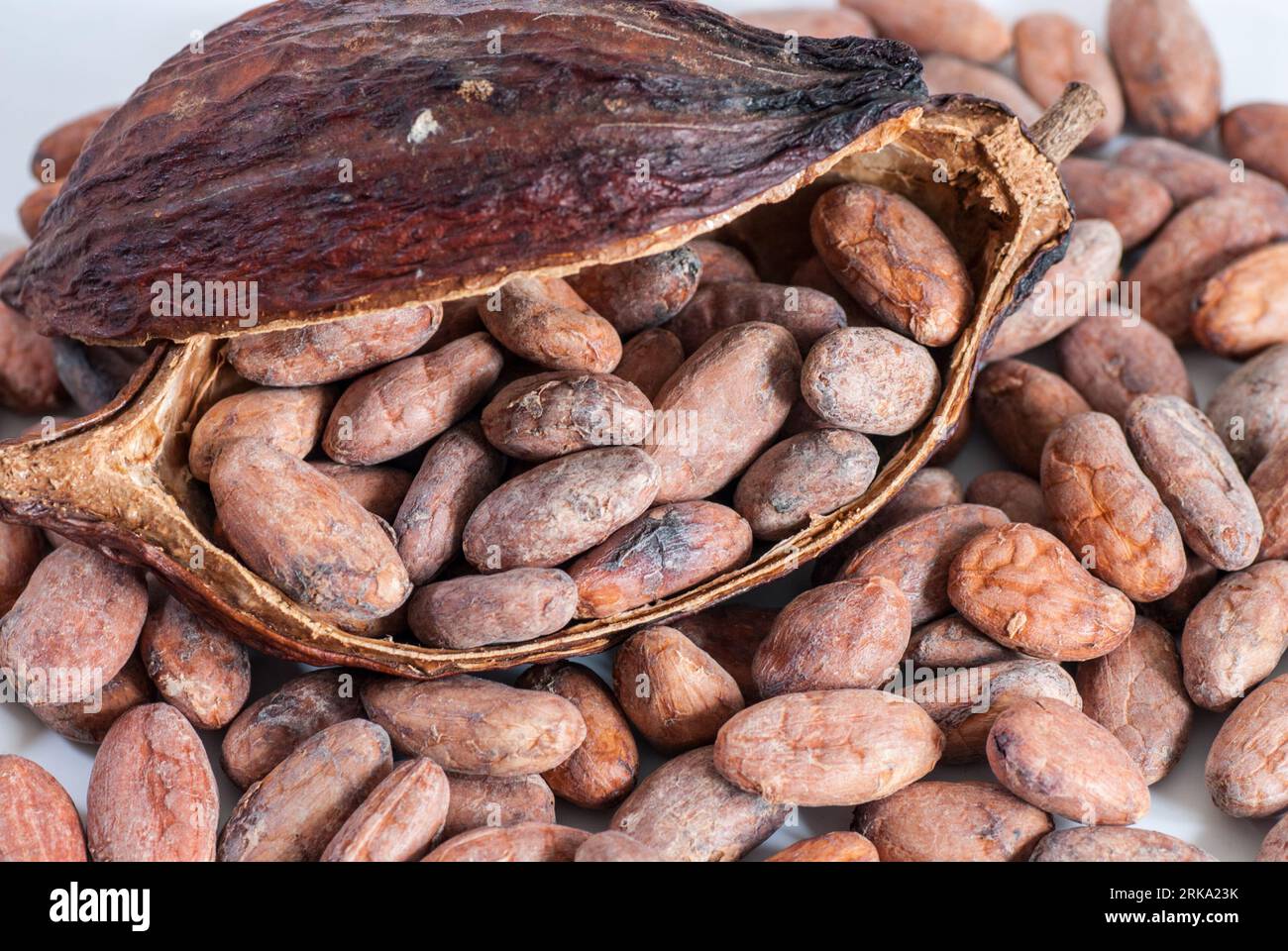 Roasted cocoa beans hi-res stock photography and images - Alamy