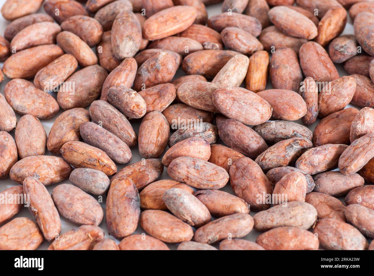 Roasted cocoa beans hi-res stock photography and images - Alamy