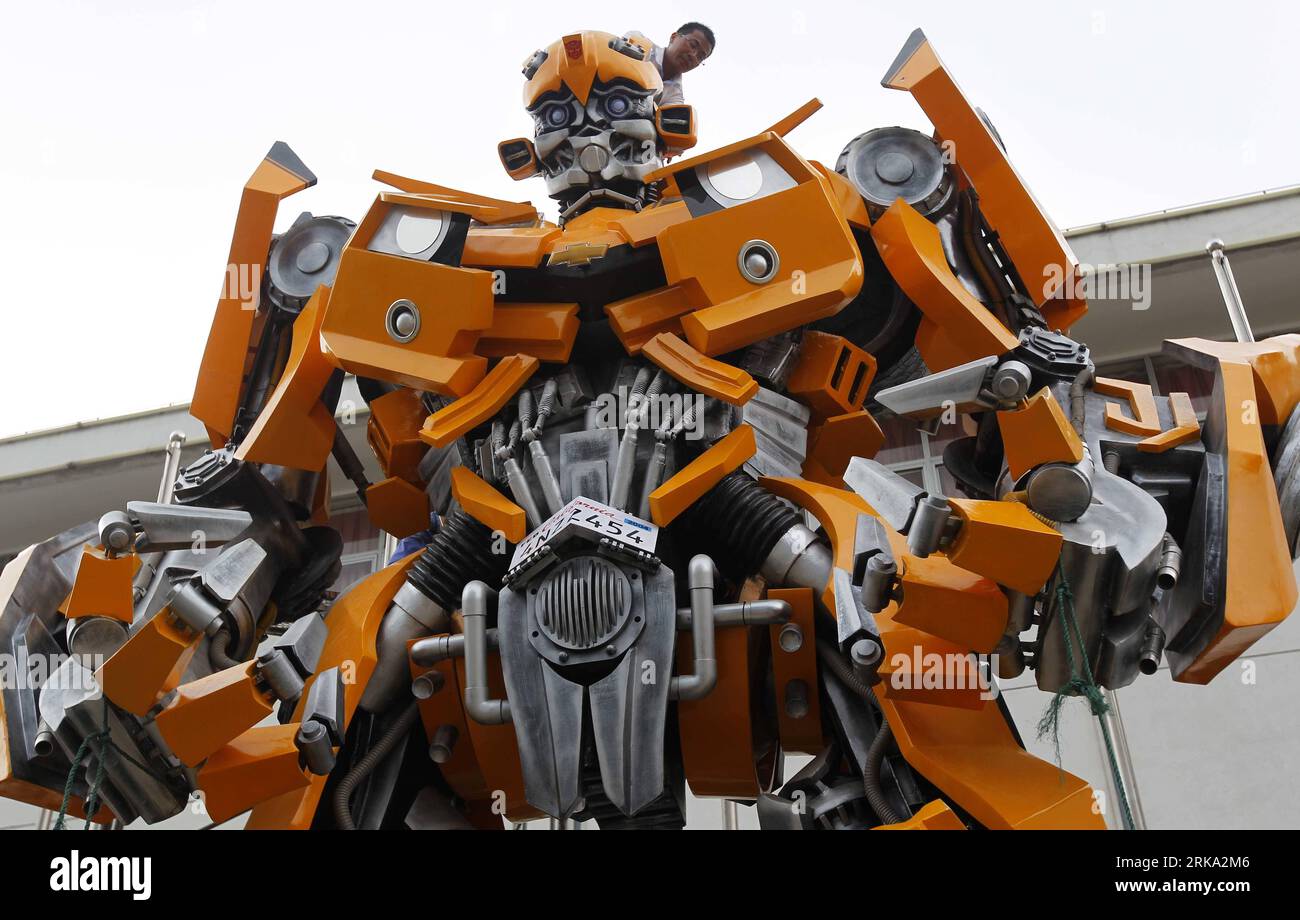 Bumblebee meeting hi-res stock photography and images - Alamy