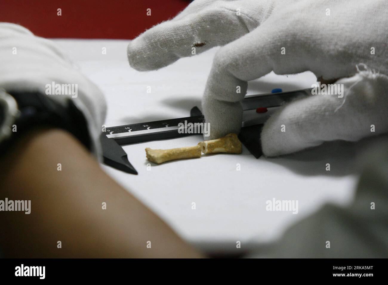 Bildnummer: 54275020 Datum: 04.08.2010 Copyright: imago/Xinhua (100804 ...