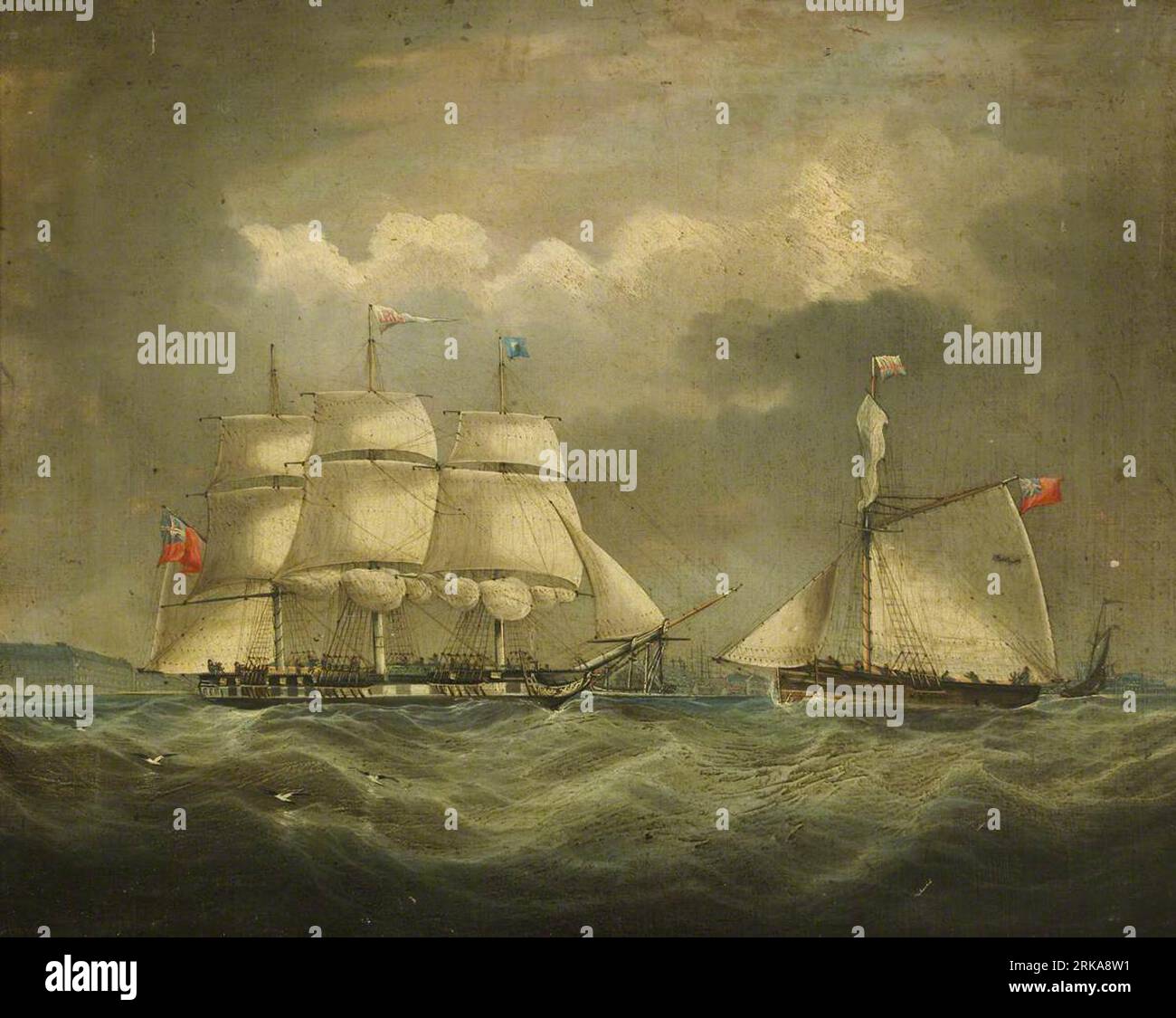 The barque iris hi-res stock photography and images - Alamy