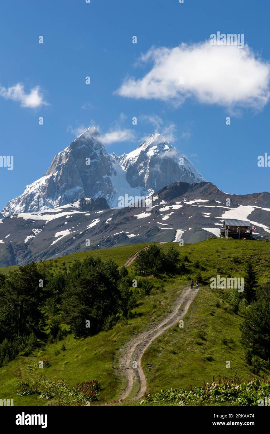 A vertical of a hiking road in green mountains against snow-capped ...