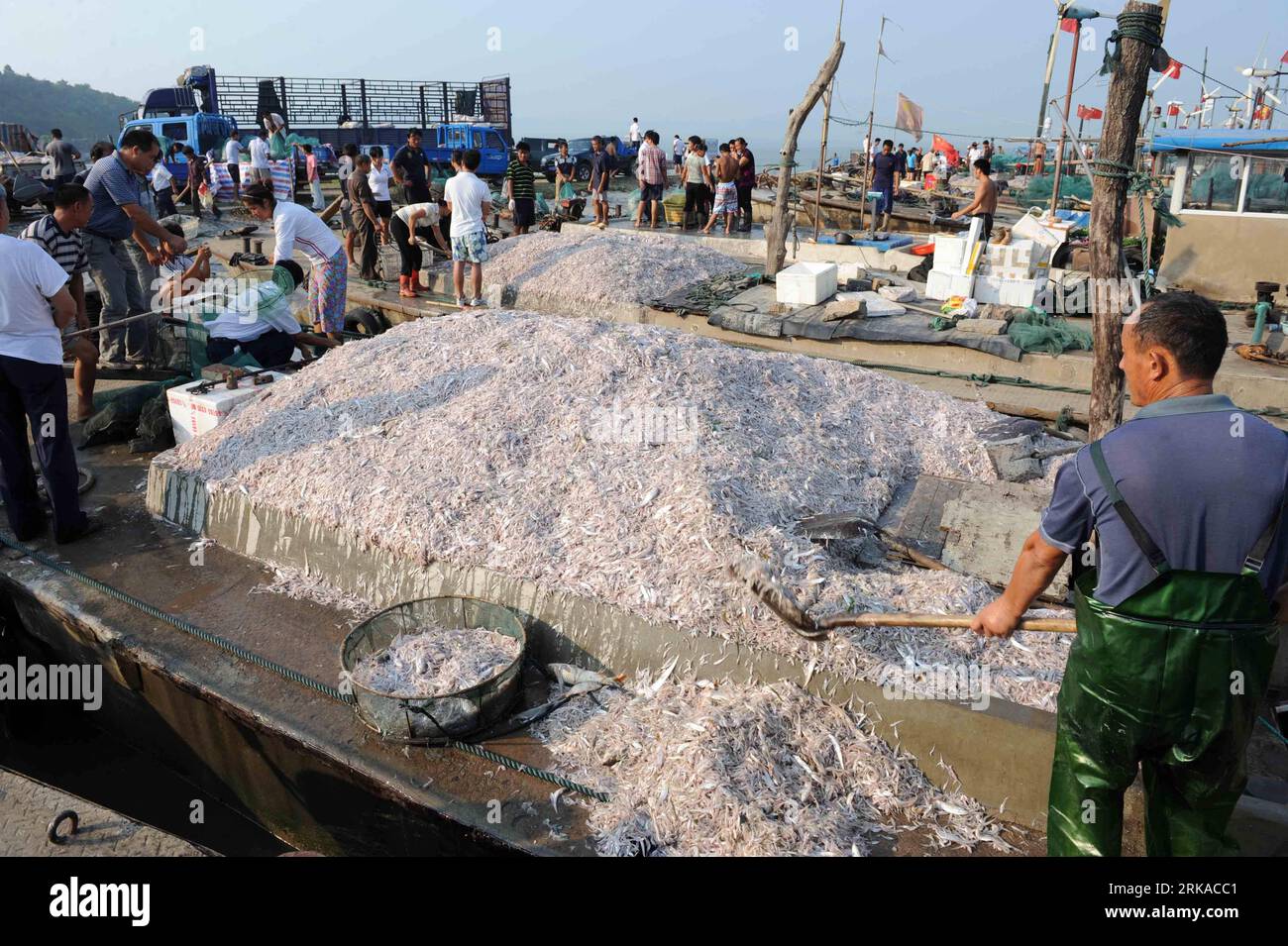 Algae lake satellite hi-res stock photography and images - Alamy