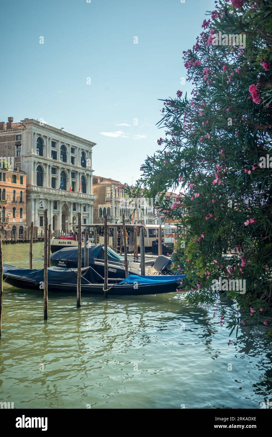 Venice italy dock terminal hi-res stock photography and images - Alamy