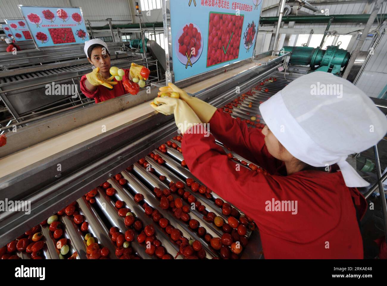 Tomato corporation hi-res stock photography and images - Alamy