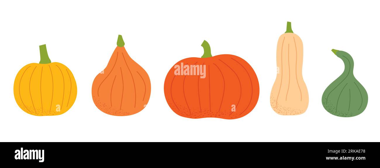 set of colorful various pumpkins- vector illustration Stock Vector ...
