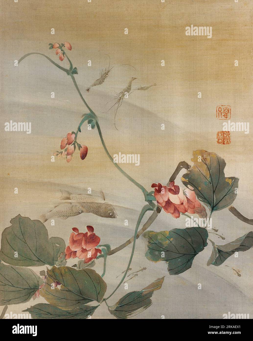 Arrowroot Vine, Shrimp, and Fish 1873 by Mori Kansai Stock Photo - Alamy