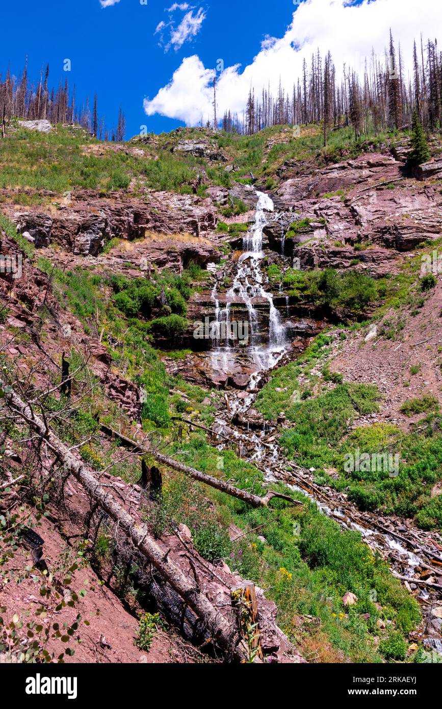 Camp creek falls trail hi-res stock photography and images - Alamy
