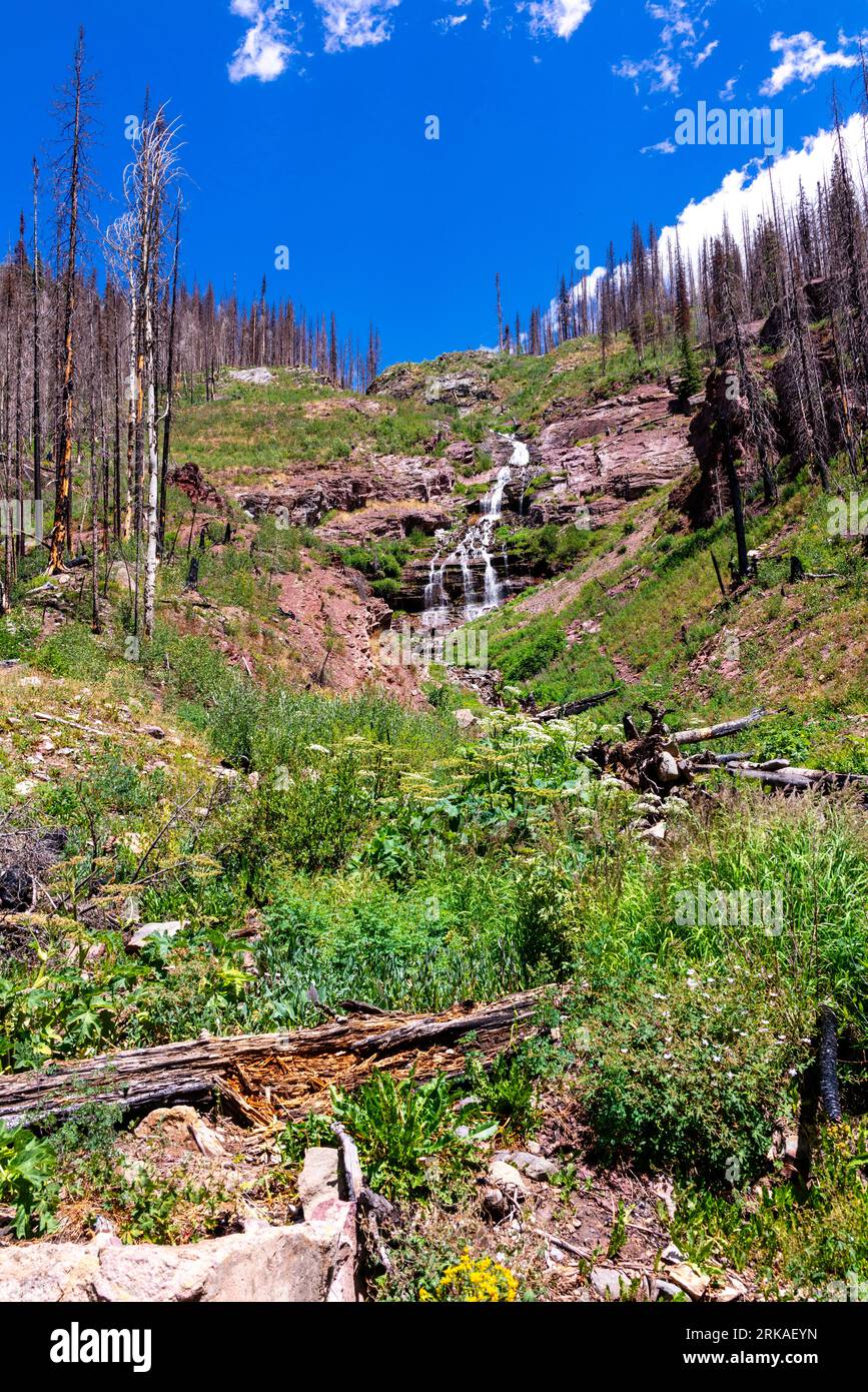Clear Creek Falls, on the trail to Ice Lake, San Juan National Forest ...
