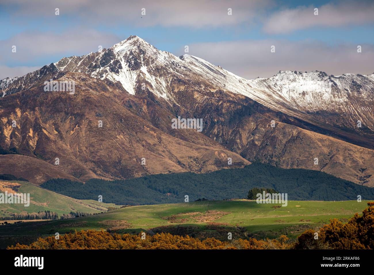 New zealand scrub land hi-res stock photography and images - Alamy