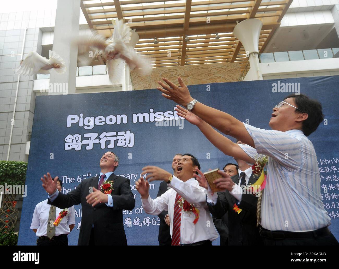 Pigeon displays hi-res stock photography and images - Alamy