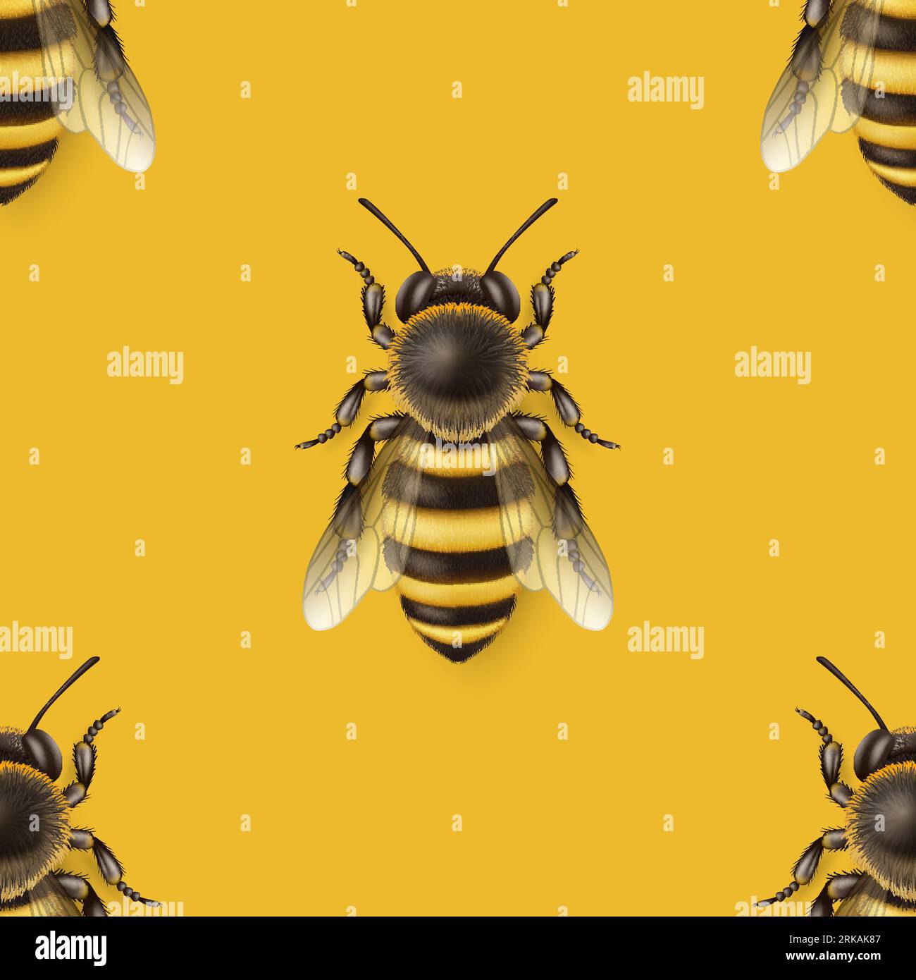 Vector Seamless Pattern with 3d Realistic Detailed Honey Bee Icon ...