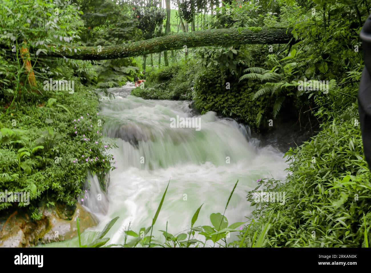 beautiful scenery river water flows down the waterfall. Stream of the ...
