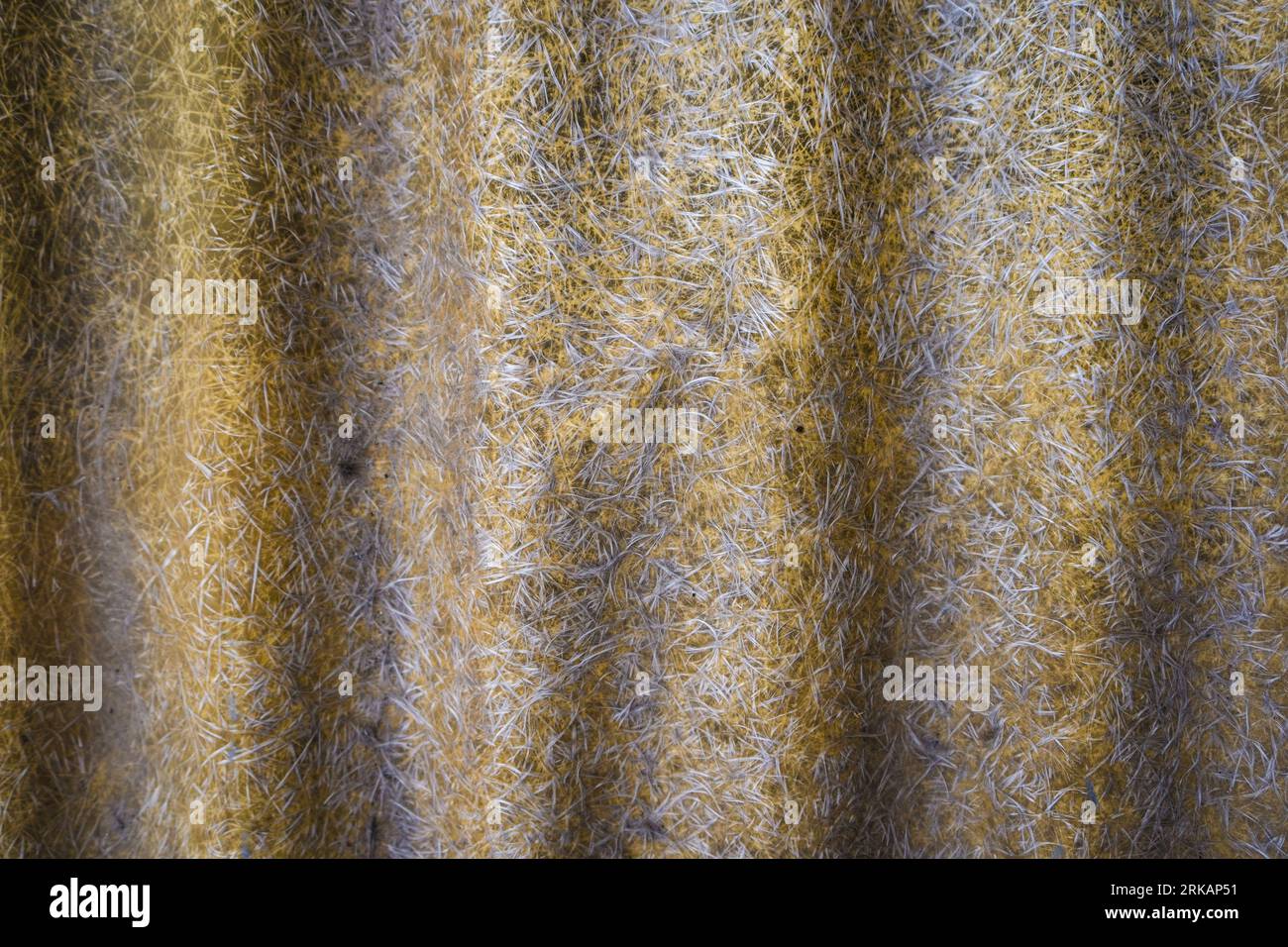 Fiberglass Texture Background Stock Photo - Alamy
