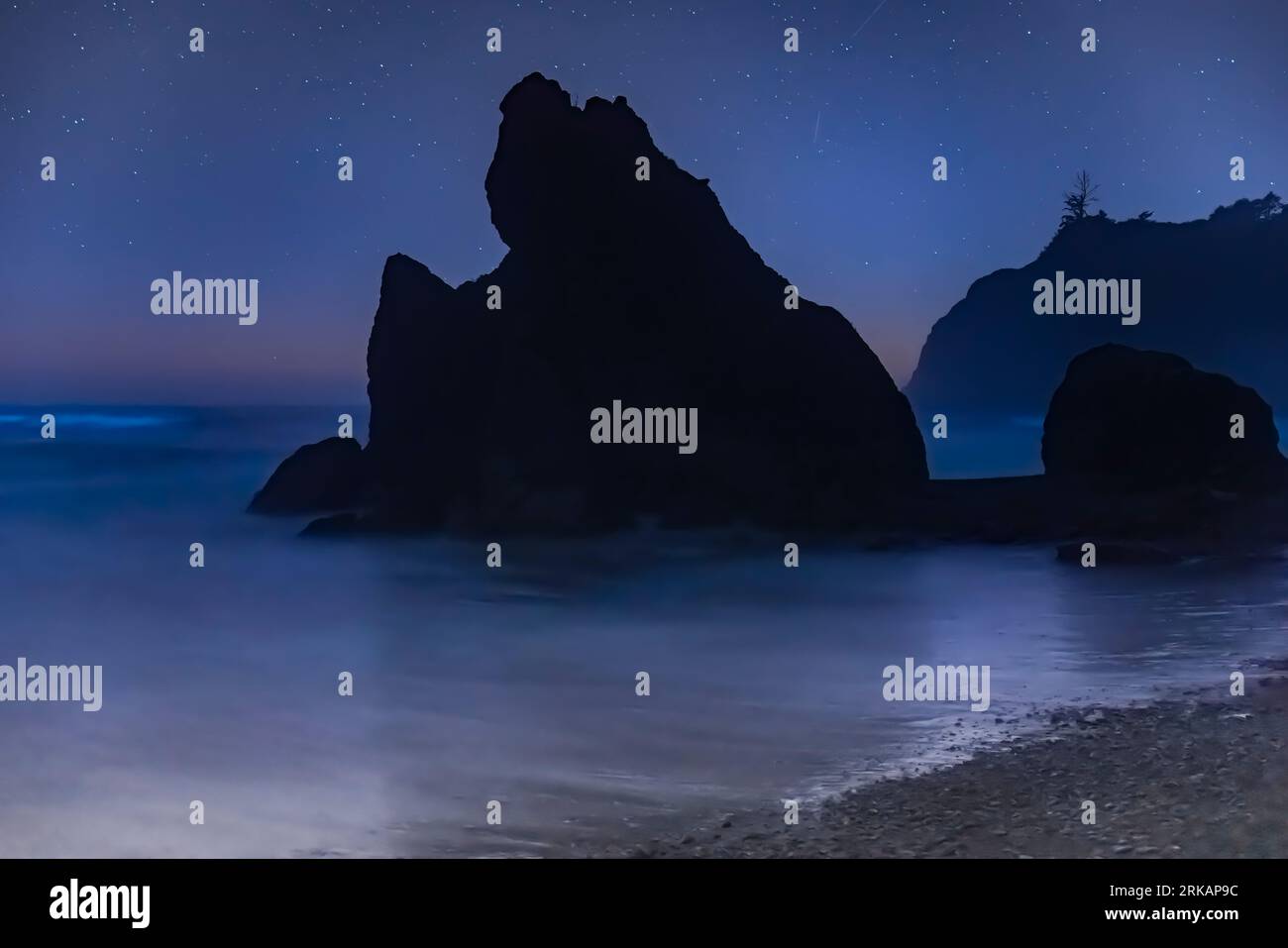 Bioluminescence by dinoflagellates disturbed by waves off Ruby Beach in ...