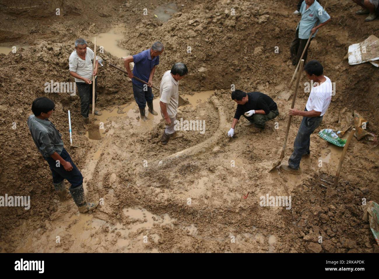 Fossil tusk hi-res stock photography and images - Alamy