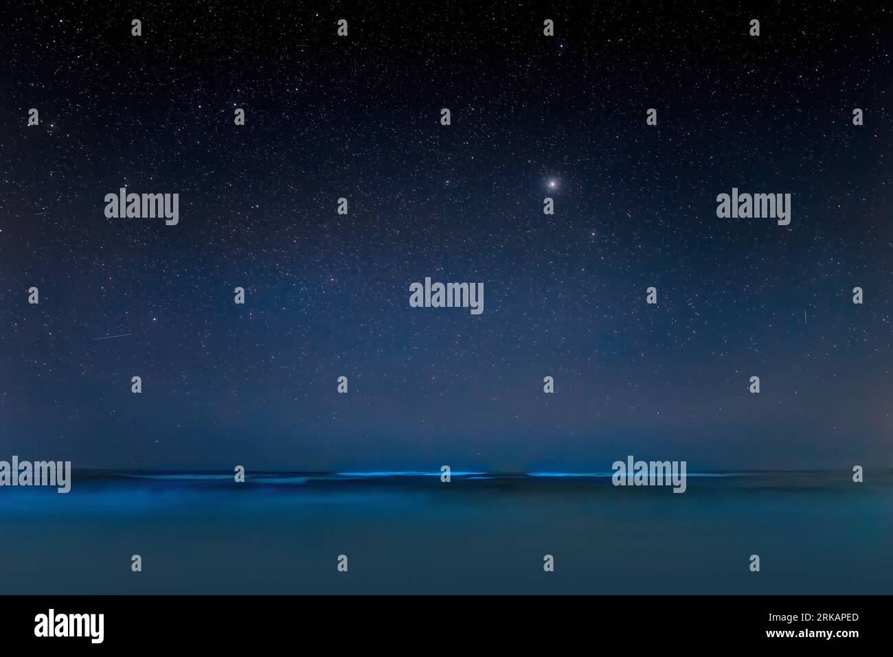 Bioluminescence by dinoflagellates disturbed by waves off Ruby Beach in ...