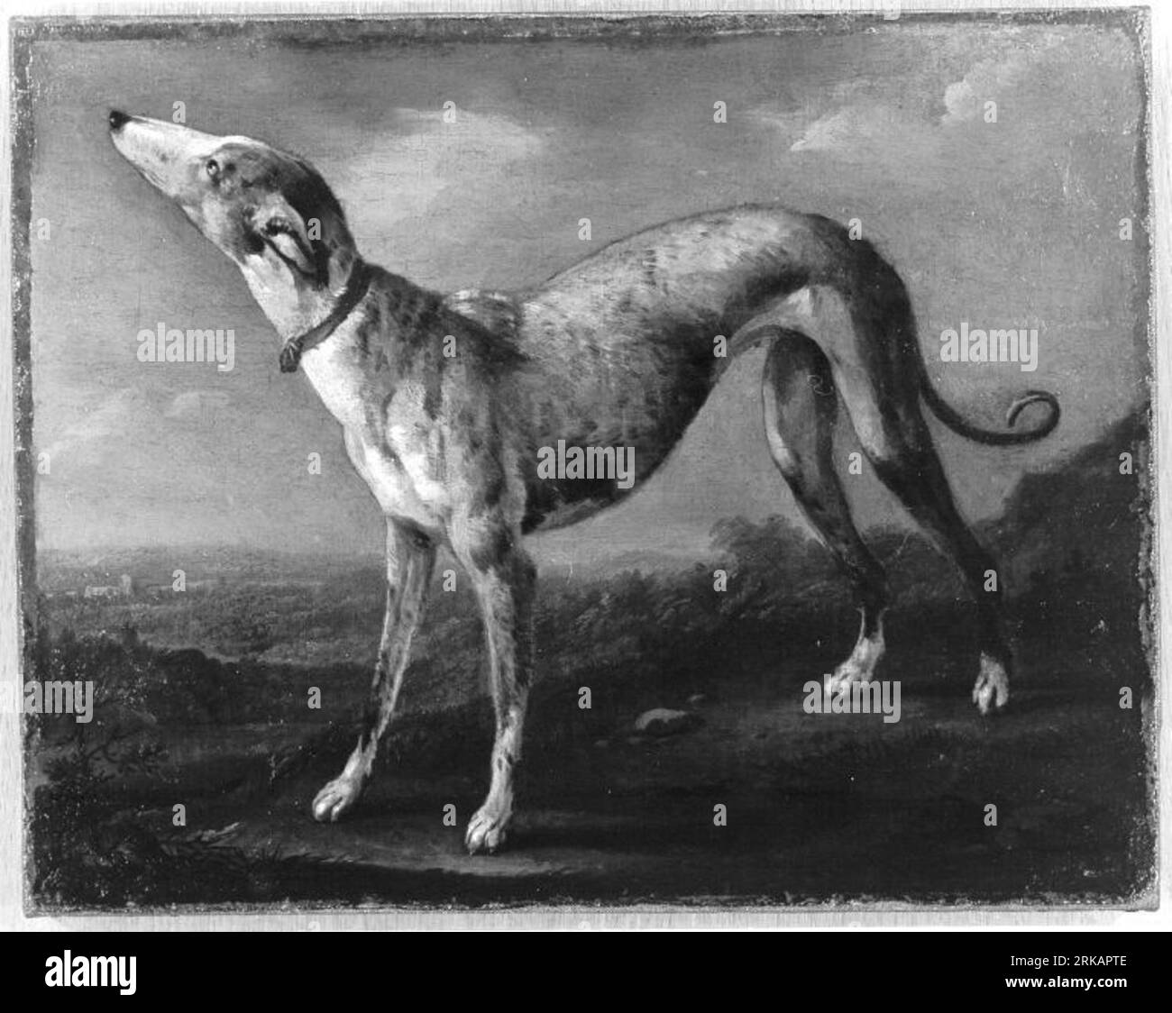 Windhund between 1735 and 1779 by Georges-Frédéric Meyer Stock Photo ...