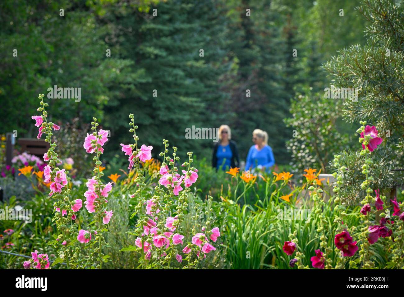 Botanical gardens of silver springs hi-res stock photography and images ...