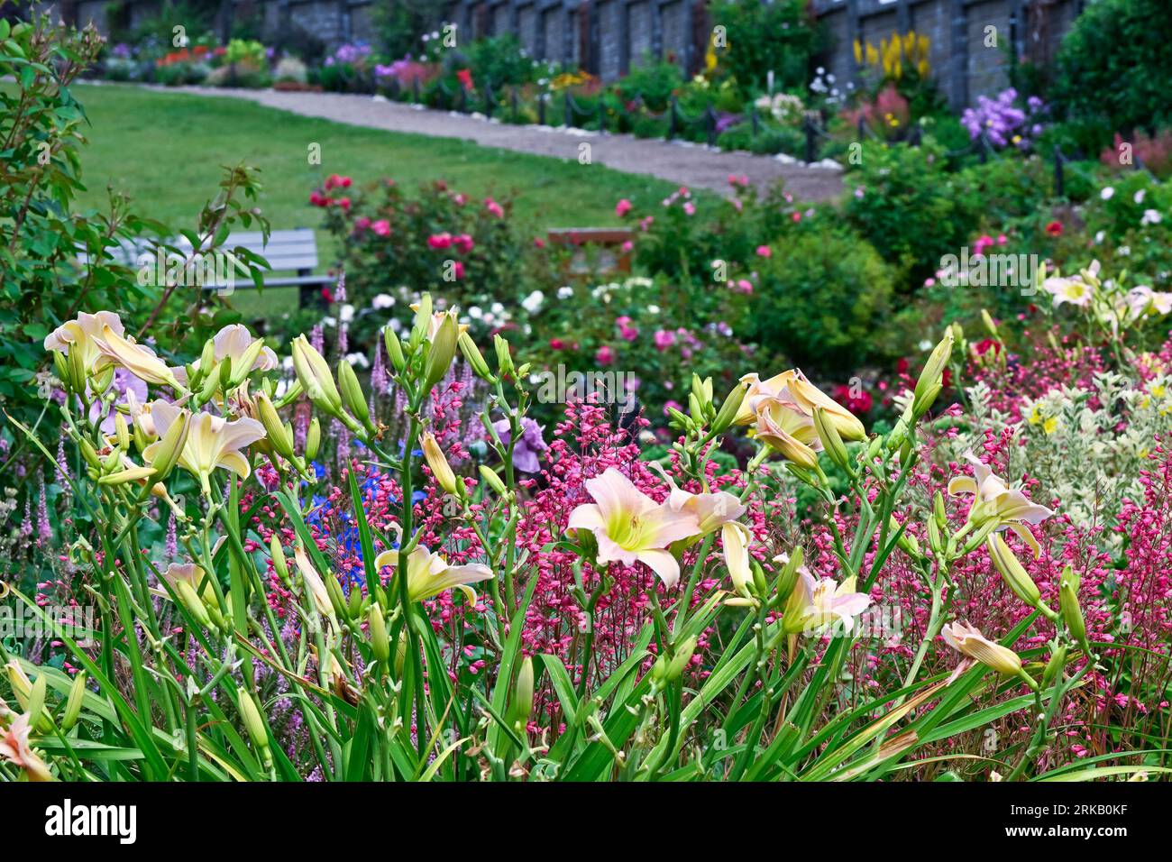 Day lilies, Botanical Gardens of Silver Springs, Calgary, Alberta ...