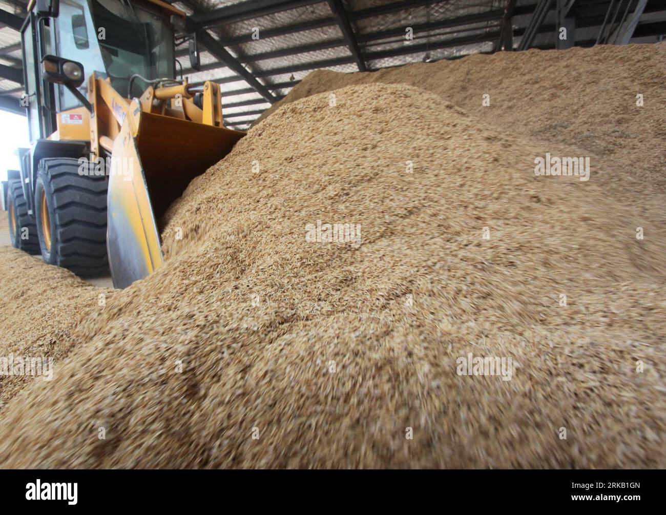 Generate lift hi-res stock photography and images - Alamy