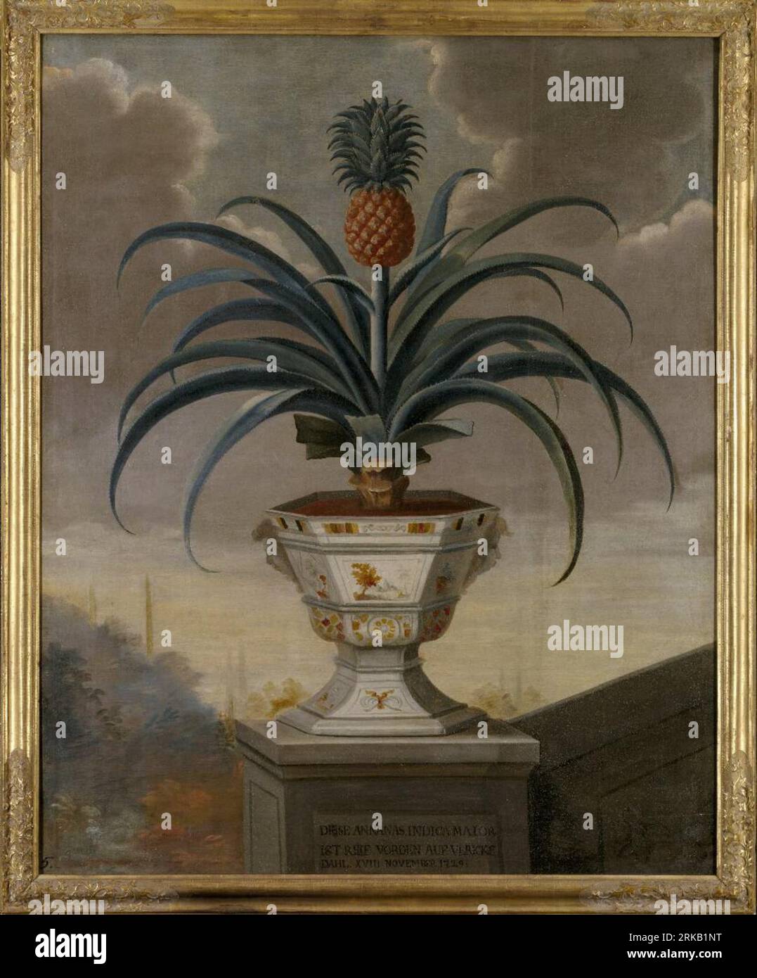 Ananas i kruka 1729 by David von Cöln Stock Photo - Alamy