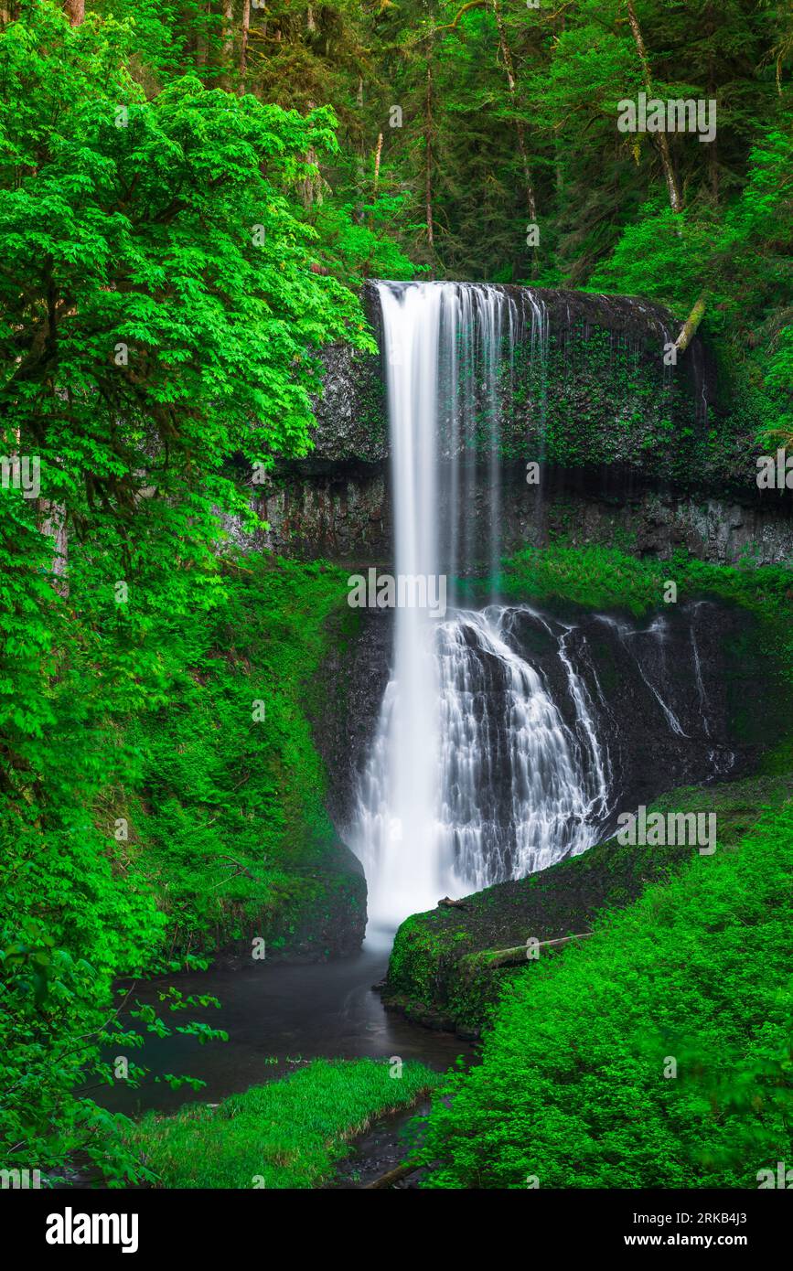 Middle North Falls, Silver Falls State Park, Oregon USA Stock Photo - Alamy