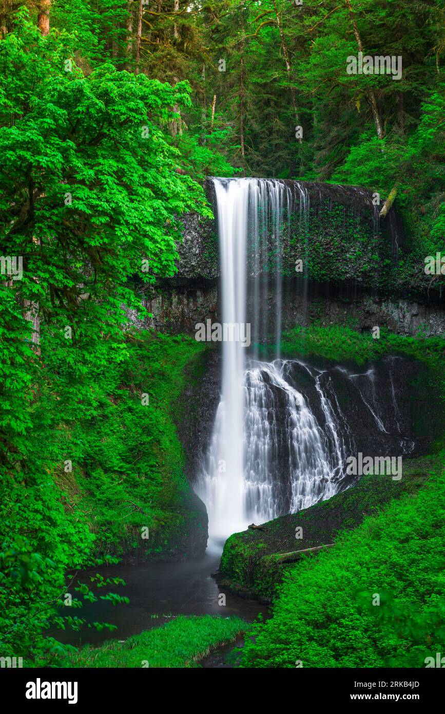 Middle North Falls, Silver Falls State Park, Oregon USA Stock Photo - Alamy