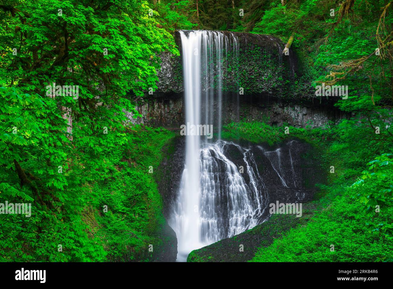 Middle North Falls, Silver Falls State Park, Oregon USA Stock Photo - Alamy