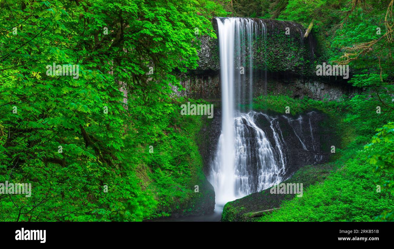 Middle North Falls, Silver Falls State Park, Oregon USA Stock Photo - Alamy