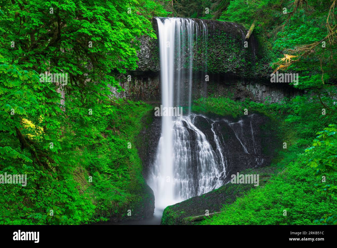 Middle North Falls, Silver Falls State Park, Oregon USA Stock Photo - Alamy