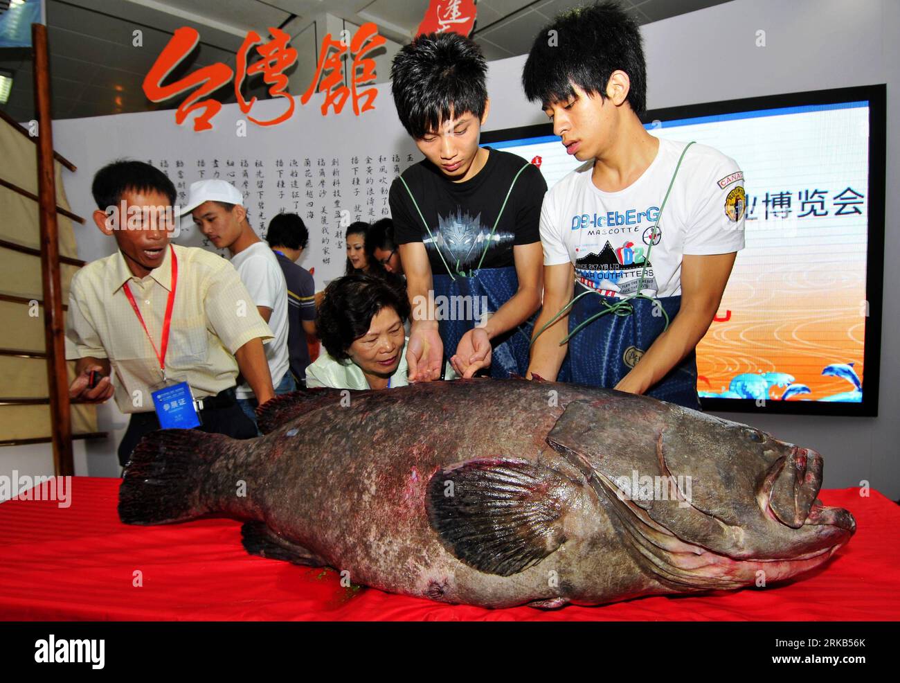 70 kilogram hi-res stock photography and images - Alamy