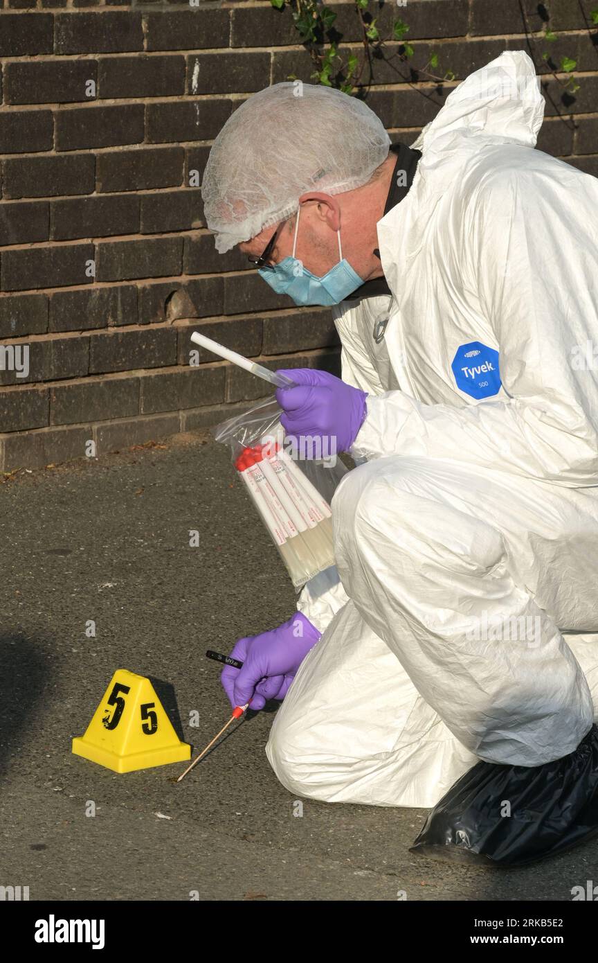 Crime scene log hi-res stock photography and images - Alamy