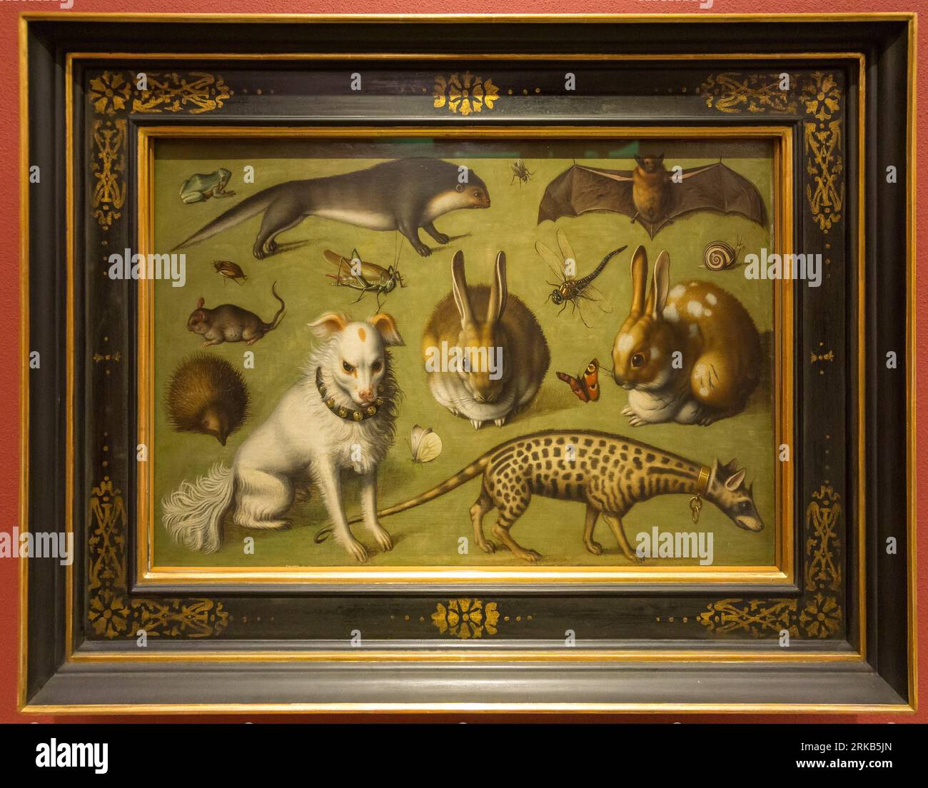 Animal Painting with a Genet circa 1560 by Ludger Tom Ring the Younger ...