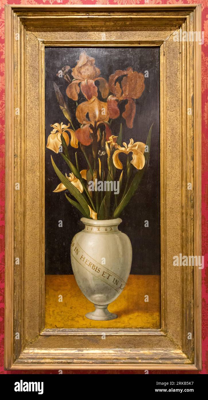 Vase with Irises 1562 by Ludger Tom Ring the Younger Stock Photo - Alamy