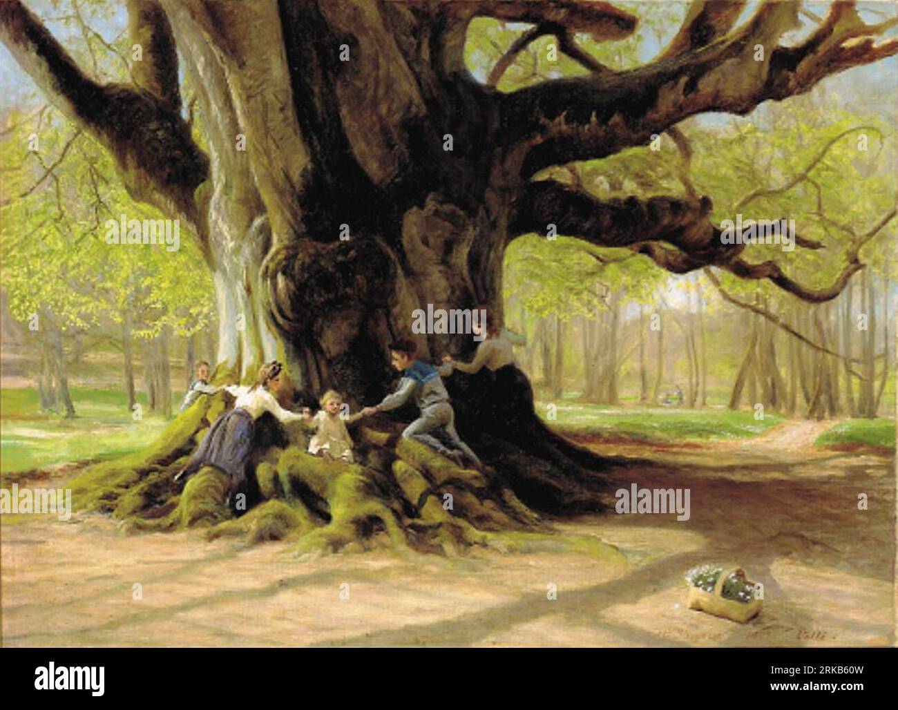 The great beech at Vallø. 1909 by Hans Ole Brasen Stock Photo - Alamy