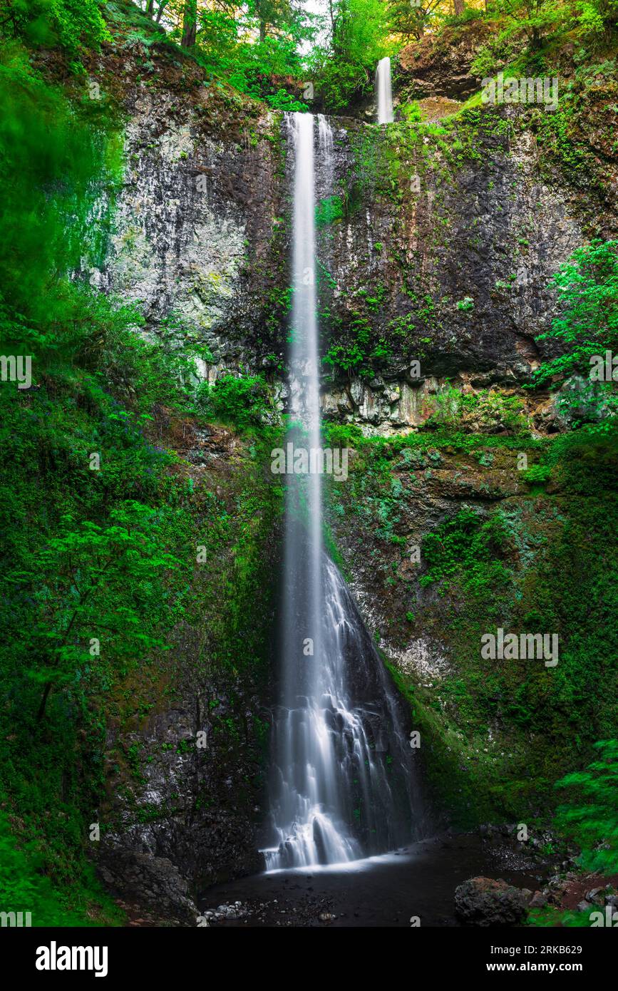 Double Falls, Silver Falls State Park, Oregon USA Stock Photo - Alamy