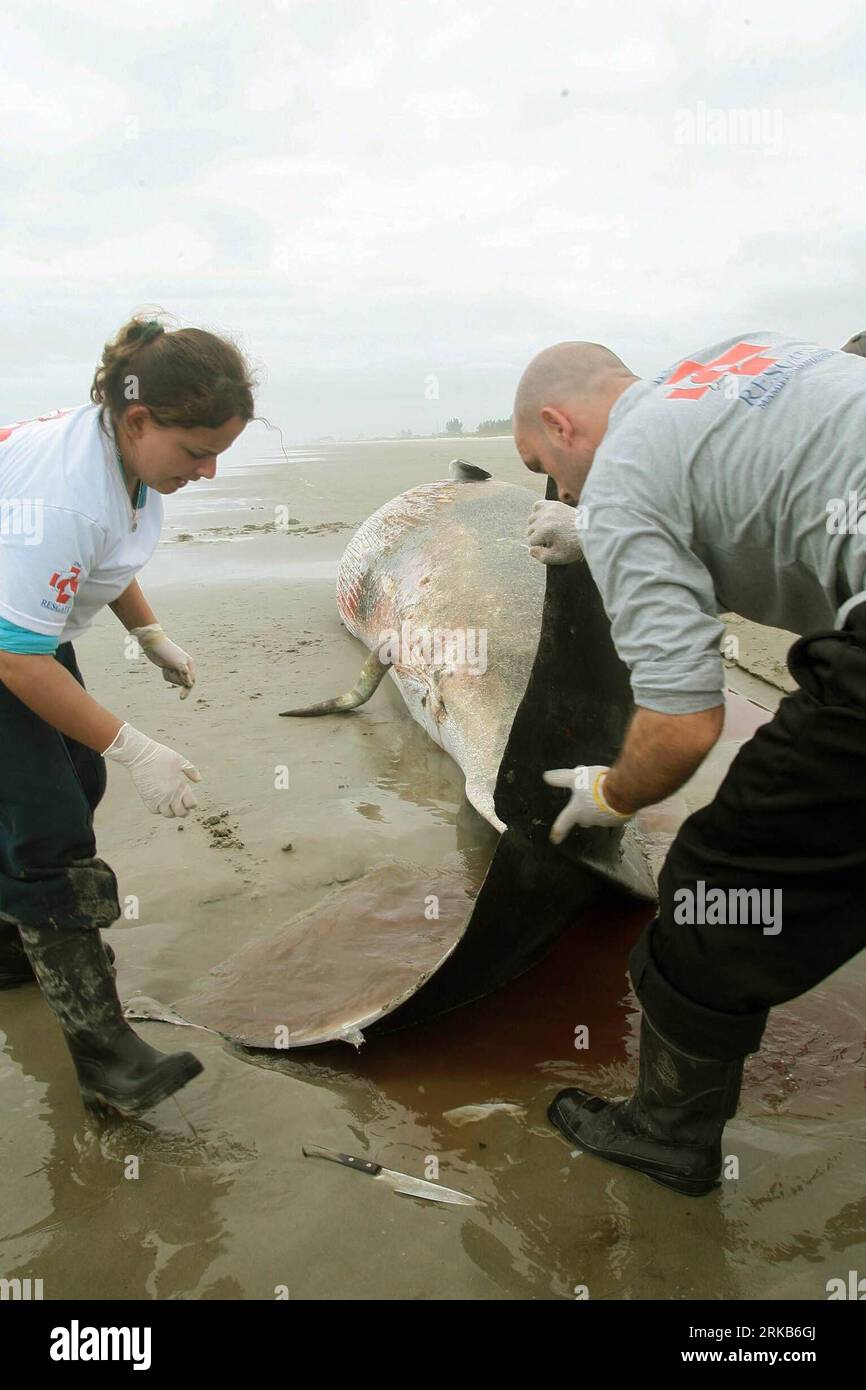 91 meter long hi-res stock photography and images - Alamy