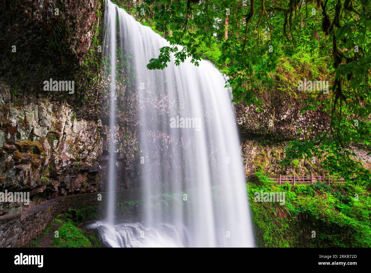 Lower South Falls, Silver Falls State Park, Oregon USA Stock Photo - Alamy