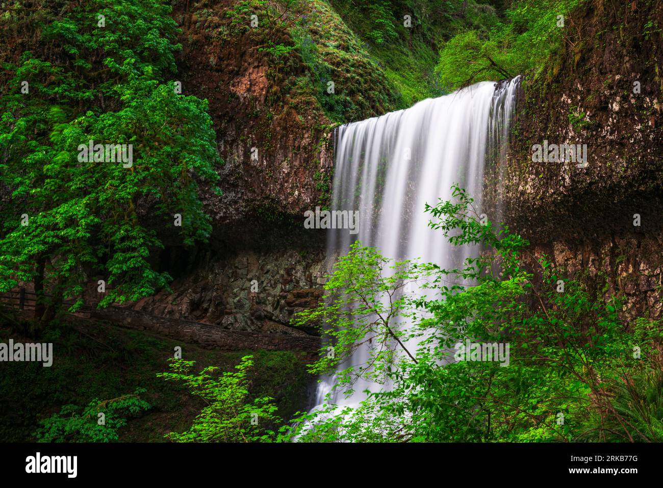 Lower South Falls, Silver Falls State Park, Oregon USA Stock Photo - Alamy