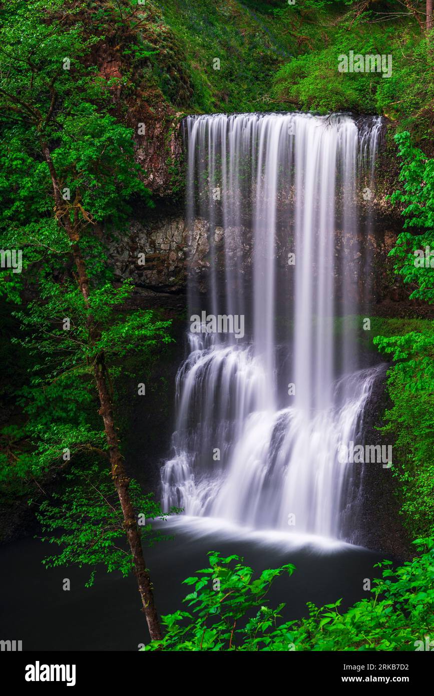 Lower South Falls, Silver Falls State Park, Oregon USA Stock Photo - Alamy