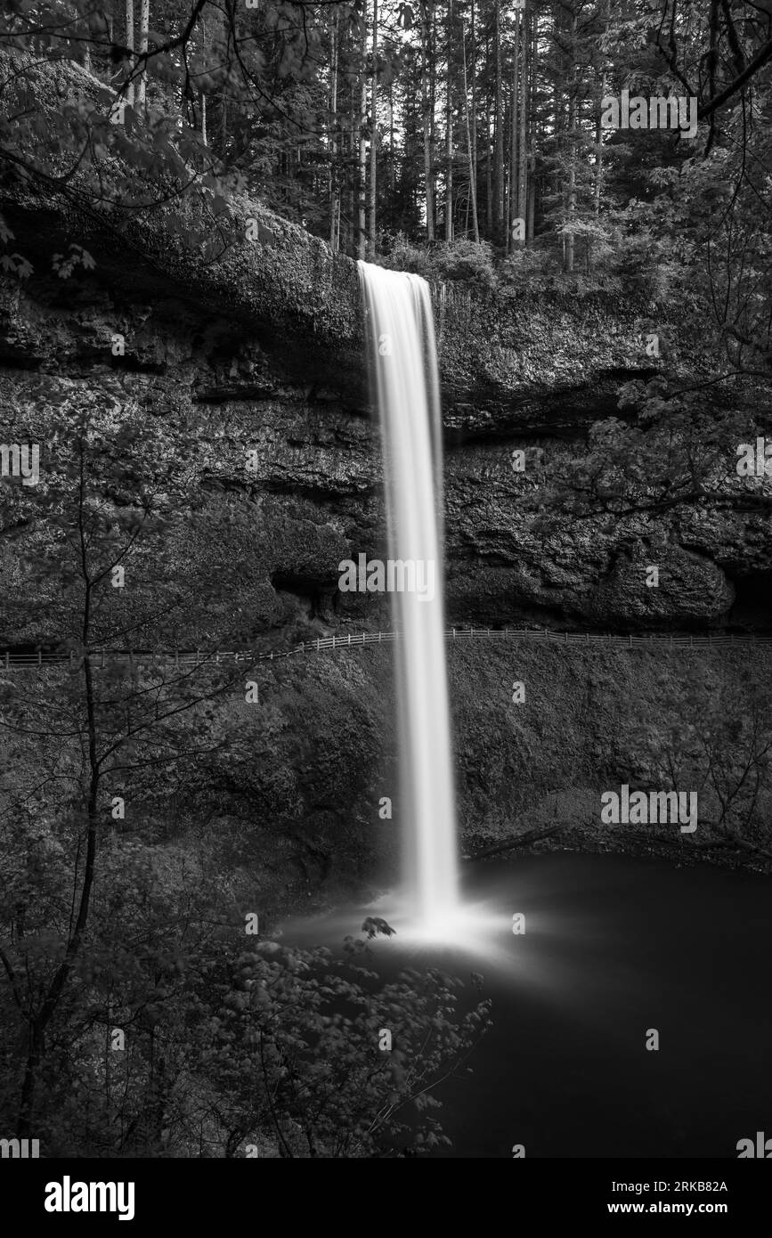 South Falls, Silver Falls State Park, Oregon USA Stock Photo - Alamy