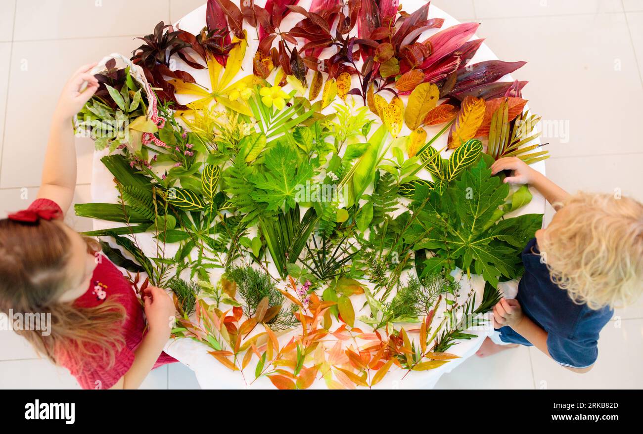 Kids pick colorful autumn leaves for school art project. Boy and girl ...
