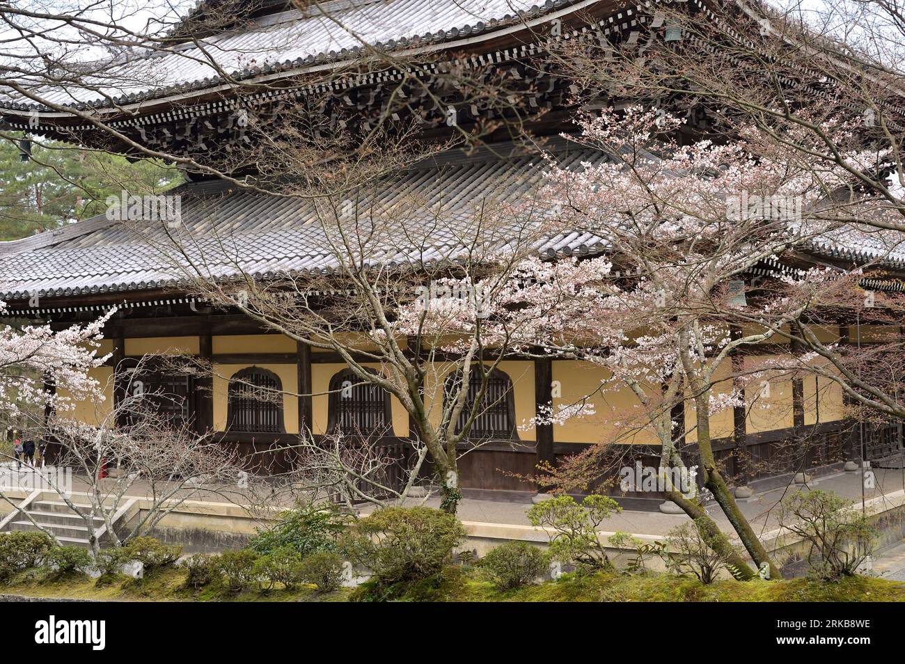 The Nanzen Ji temple precincts during the beautiful cherry blossom ...