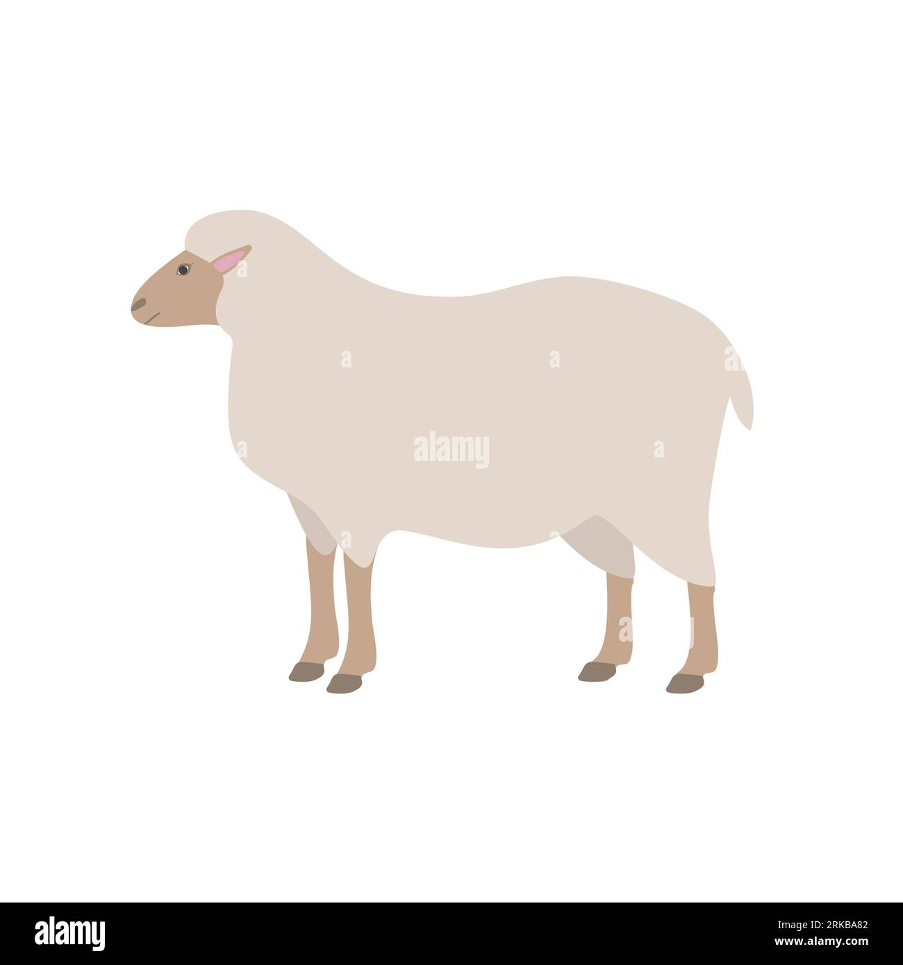 Vector flat hand drawn sheep isolated on white background Stock Vector ...