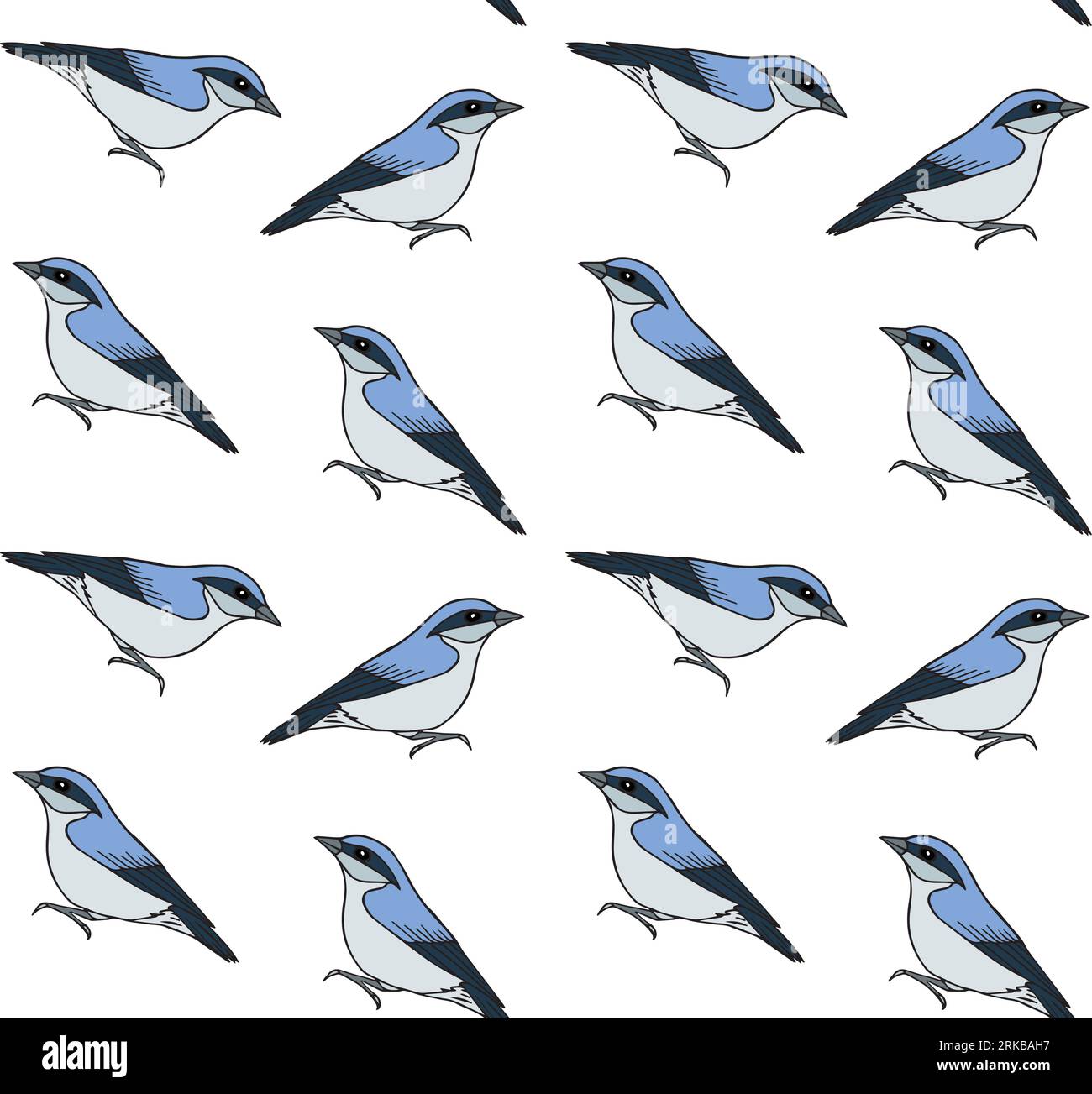 Vector seamless pattern of hand drawn doodle sketch colored nuthatch ...